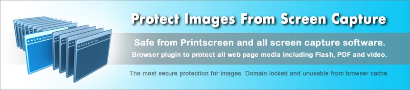 How To Copy Protect Images Online ArtistScope